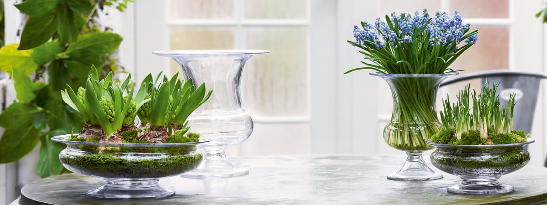 Holmegaard: Glassware Products & More | Connox Shop